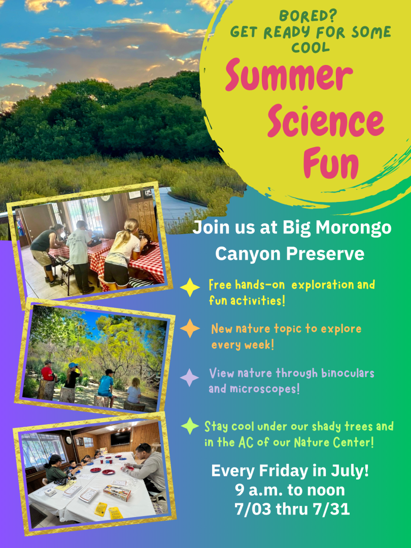 Big Morongo Canyon kicks off their Summer Science Fun program this ...